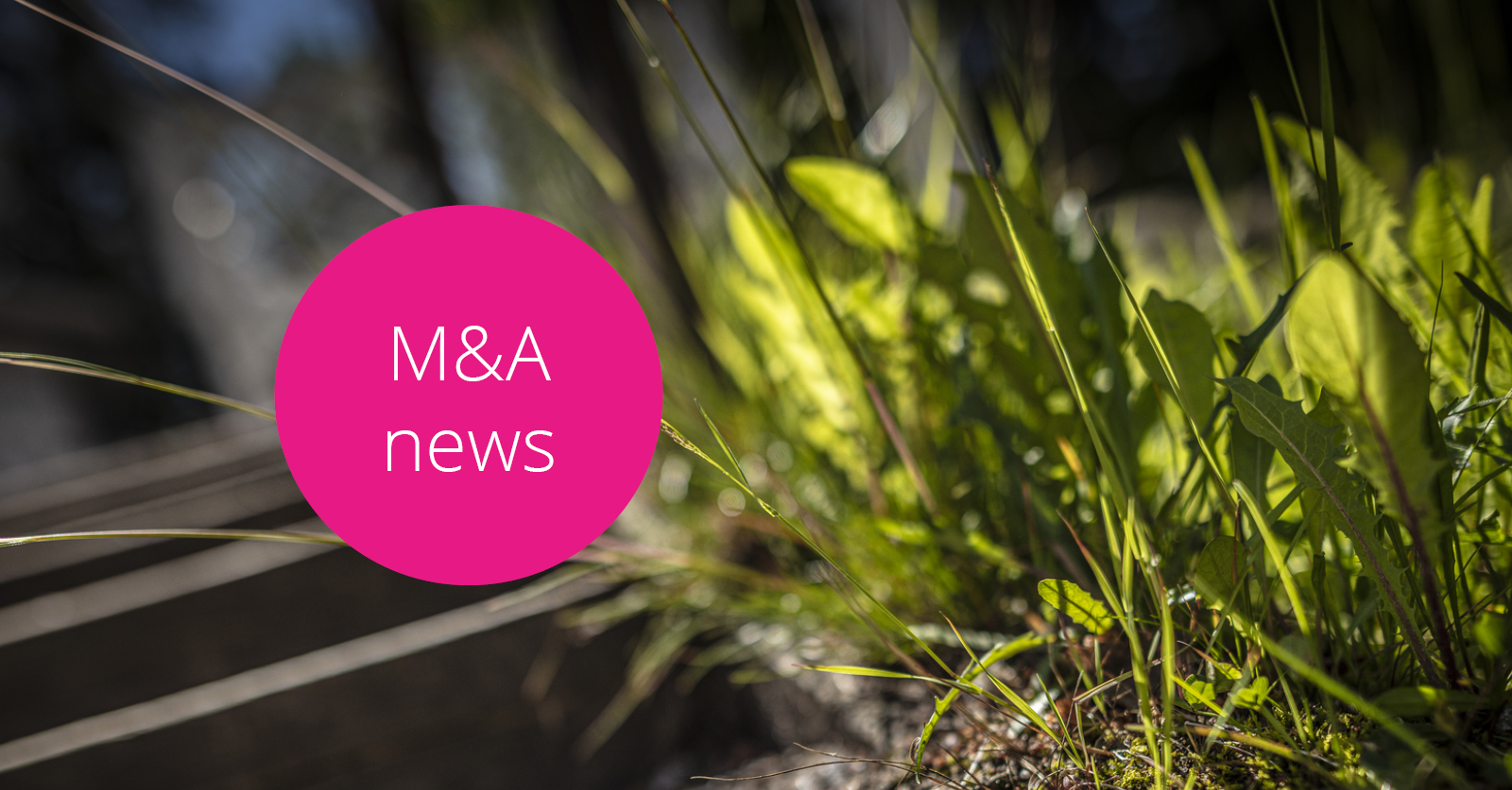 PHM Group strengthens its position through two new acquisitions in ...